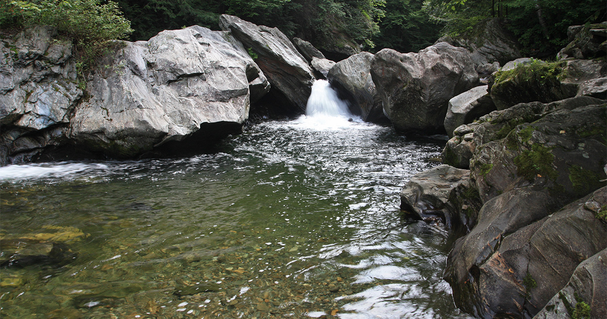 Jeff Falls - Vermont