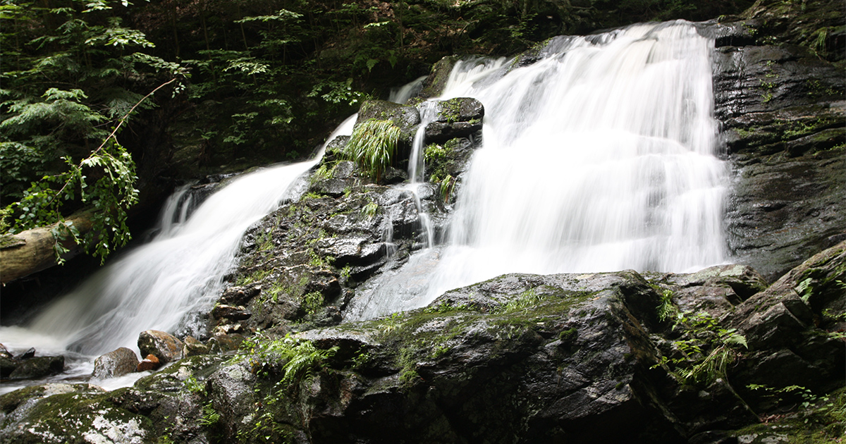 Carpenter's Falls - Connecticut